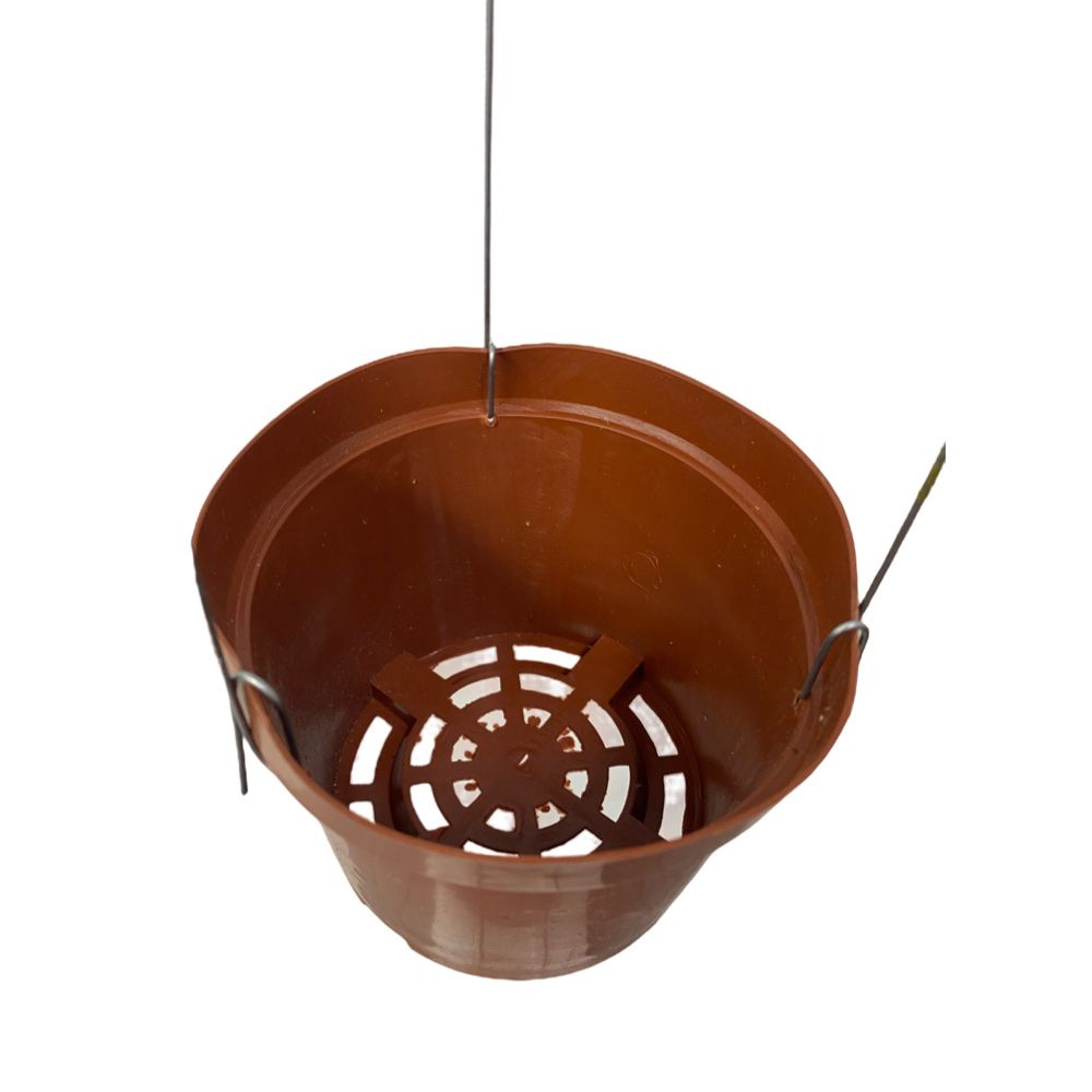 Plastic Hanging Wire Pot - Woon Leng Nursery